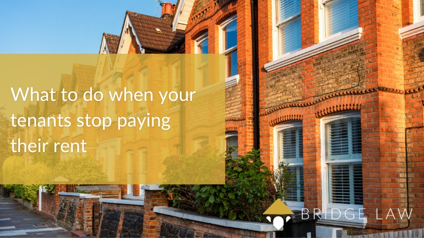 What to do when your tenants stop paying their rent | Landlord & Tenant Law